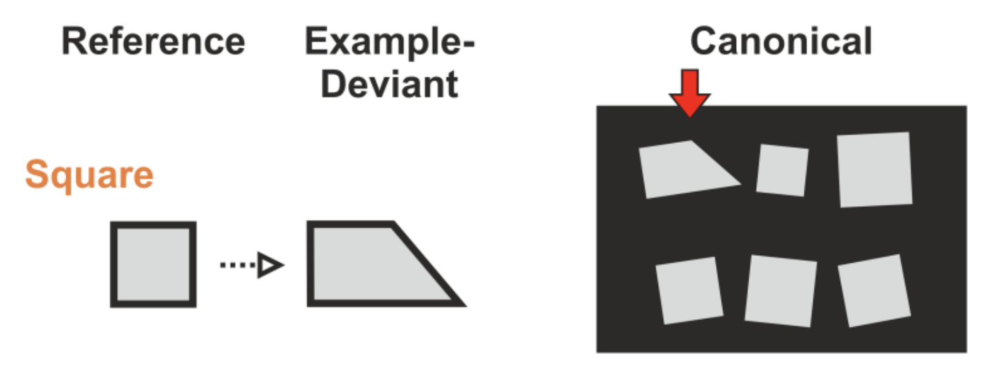 Crows Are So Smart They Can Identify Geometric Shapes, Study Finds : ScienceAlert